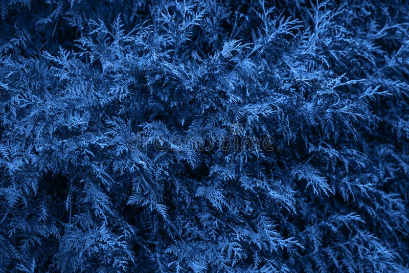 Classic Blue Background. Color of the Year 2020 Stock Photo - Image of ...