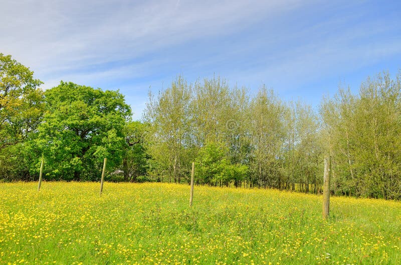 Classic British Landscape at the Peak District Near Manchester Stock ...