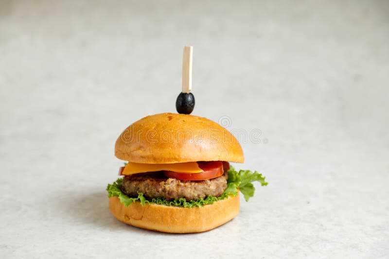 Classic Cajun Beef Burger Include Cheese Slice, Tomato, Onion and ...