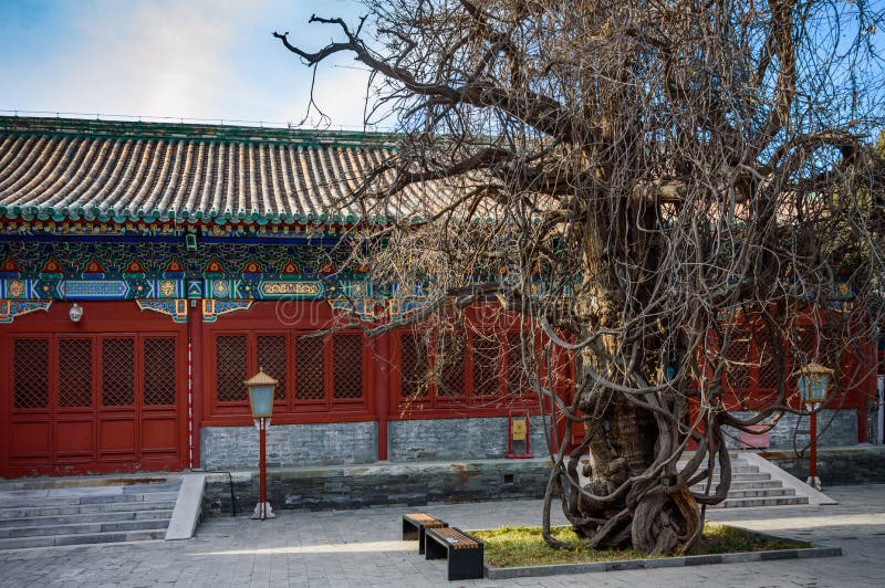 Classic Chinese Buildings in the Old Style, Well-kept Square in Front ...