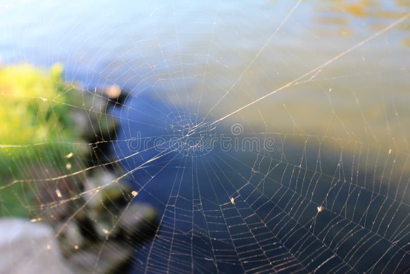 Luxembourg - a Closeup Photo with a Classic Circular Form of the Spider ...