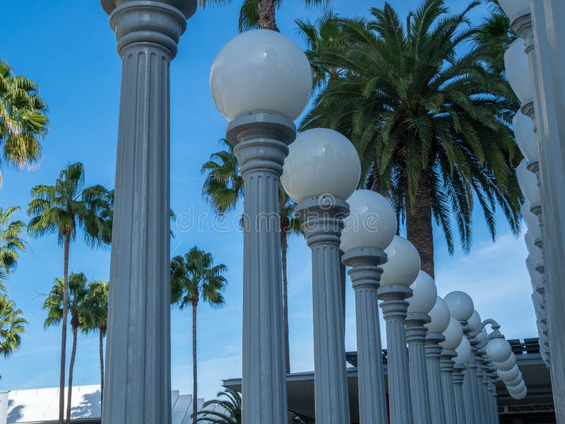 Classic Circular Light Posts Standing with Palm Trees in Daytime Stock ...