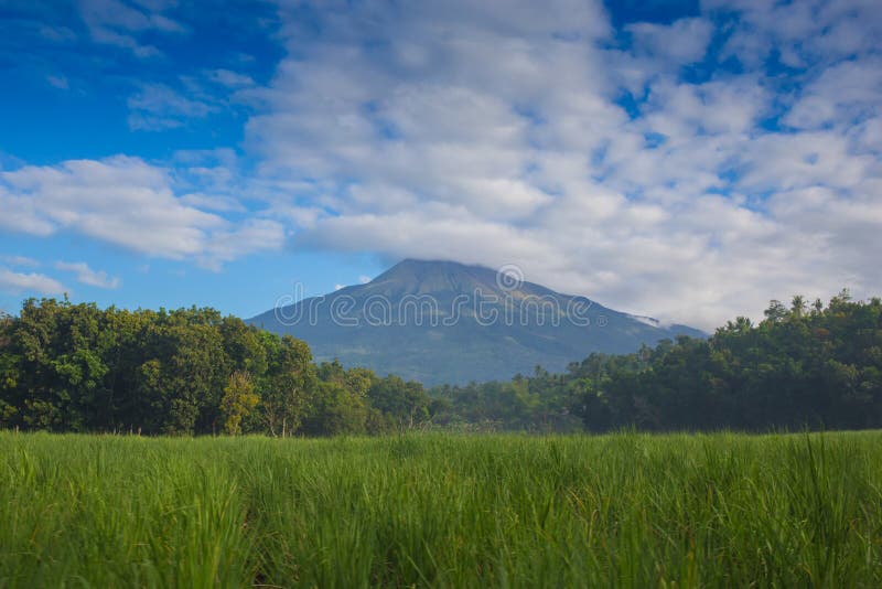 The Classic Cone Shape of Arenal Volcano in Costa Stock Image - Image ...