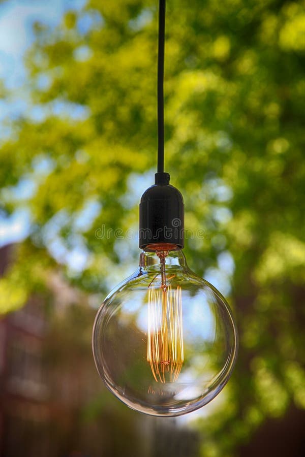 Classic Edison Light Bulb on Green Leaves Background Stock Image ...
