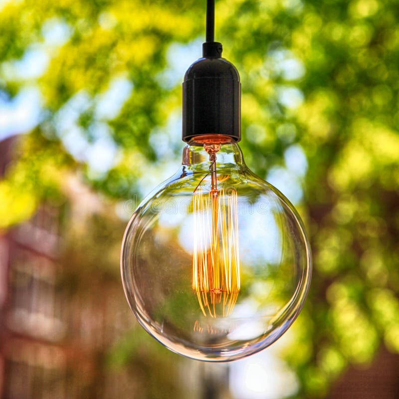 Classic Edison Light Bulb on Green Leaves Background Stock Image ...