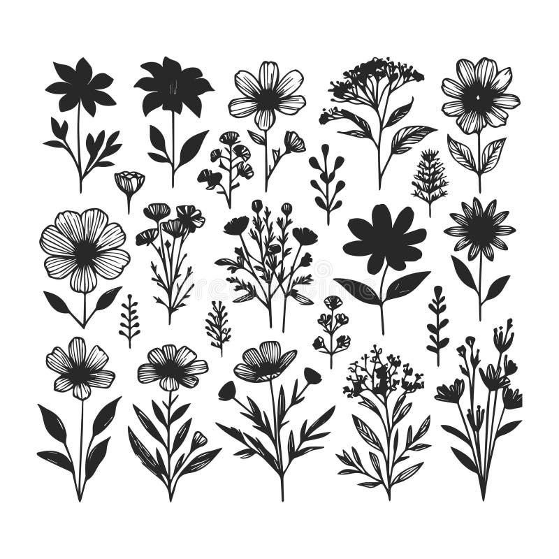 Classic Flower Ornament Vector Illustration Pack Stock Vector ...