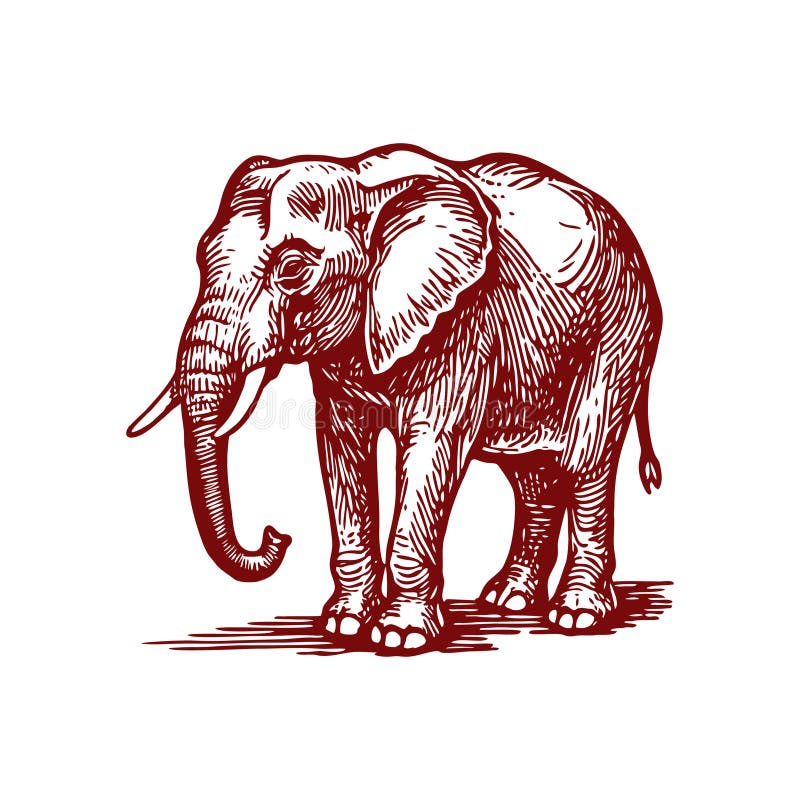 Classic Hand Drawing Elephant Illustration Stock Vector - Illustration ...