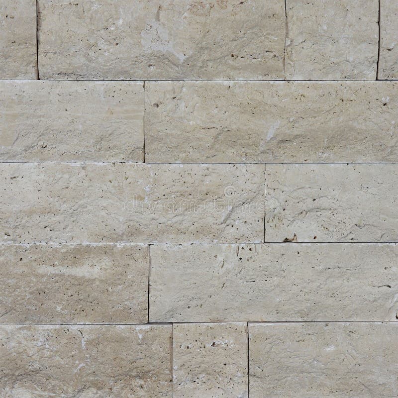 Split face stock image. Image of serious, beard, moustache - 7384991