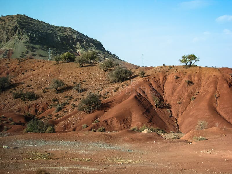 Classic Moroccan Landscape - Red Mountain and Argan Trees Stock Image ...