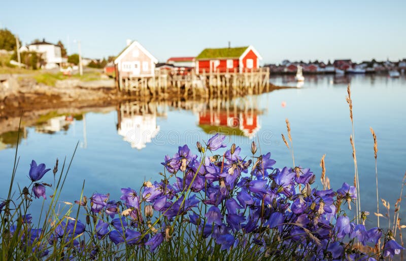 Classic Norway view stock photo. Image of summer, rorbu - 45163358