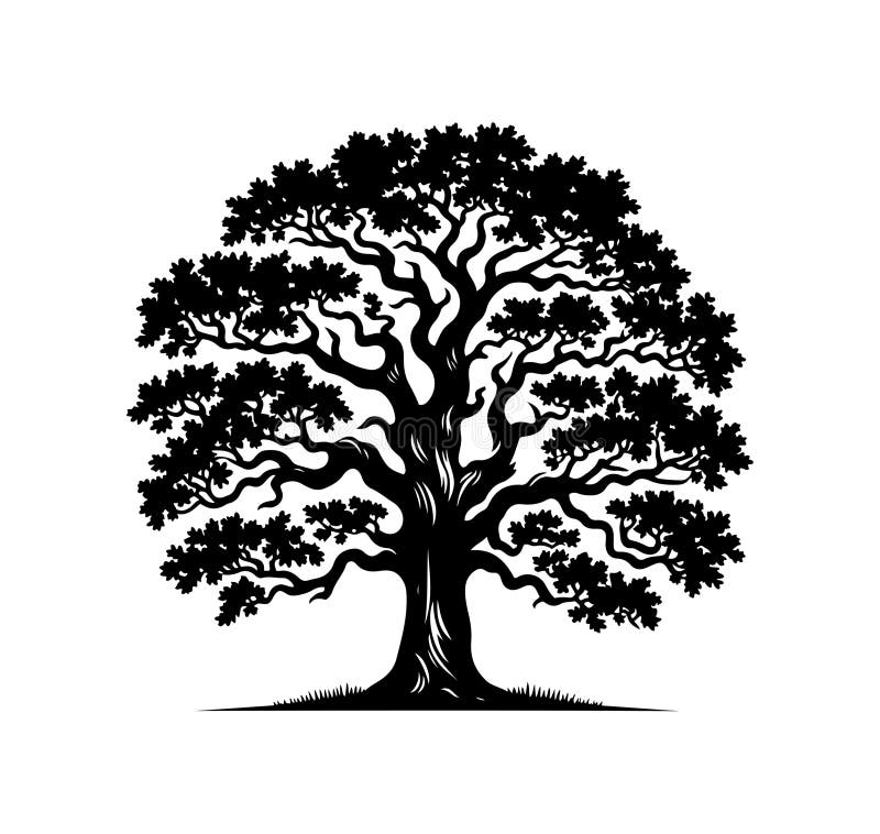 Classic Oak Tree Silhouette Vector Art Template. Majestic Silhouette of ...