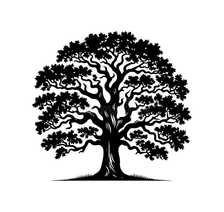 Classic Oak Tree Silhouette Vector Art Template. Majestic Silhouette of ...