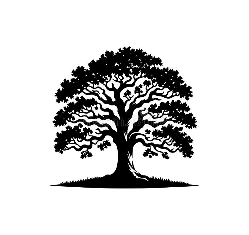Majestic Black Silhouette of a Large Oak Tree. Classic Oak Tree ...