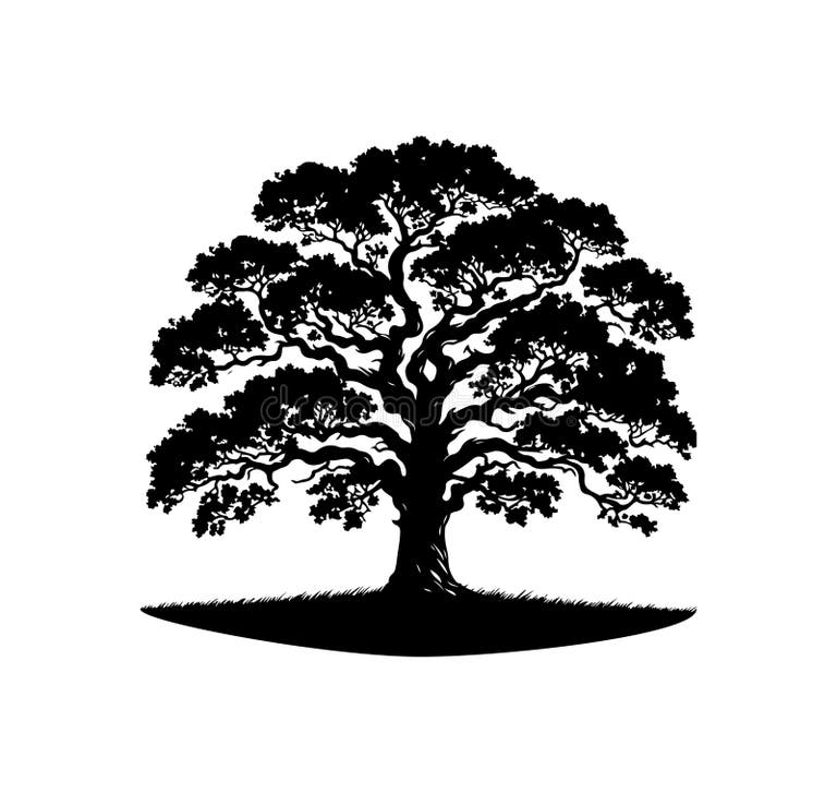 Classic Oak Tree Silhouette Vector Art Template. Striking Silhouette of ...