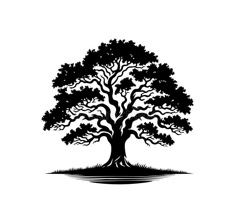 Majestic Silhouette of a Large Oak Tree. Classic Oak Tree Silhouette ...