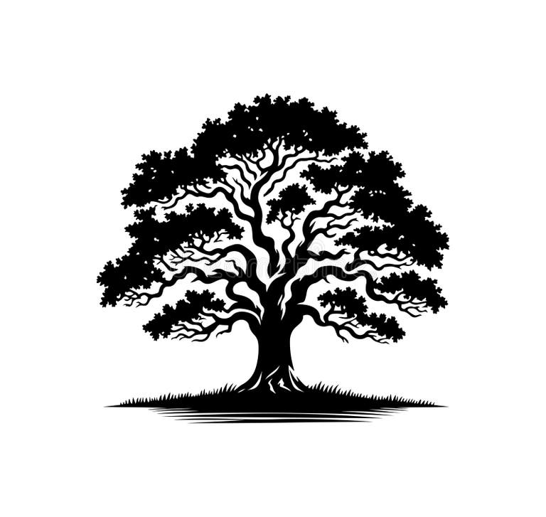 Majestic Silhouette of a Large Oak Tree. Classic Oak Tree Silhouette ...