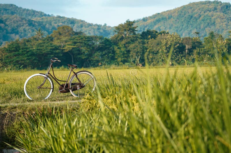 Classic Onthel Bicycles that are Displayed on Village Roads Around the ...