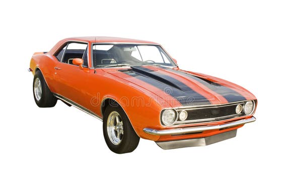 656,978 Paprecious Muscle Stock Photos - Free & Royalty-Free Stock ...