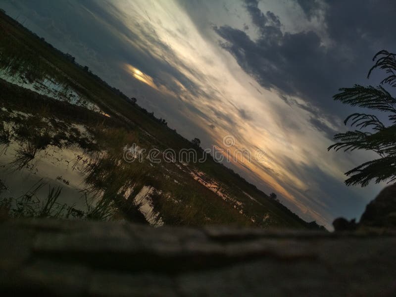 Night View in the Rice Field Stock Image - Image of classic, rice ...