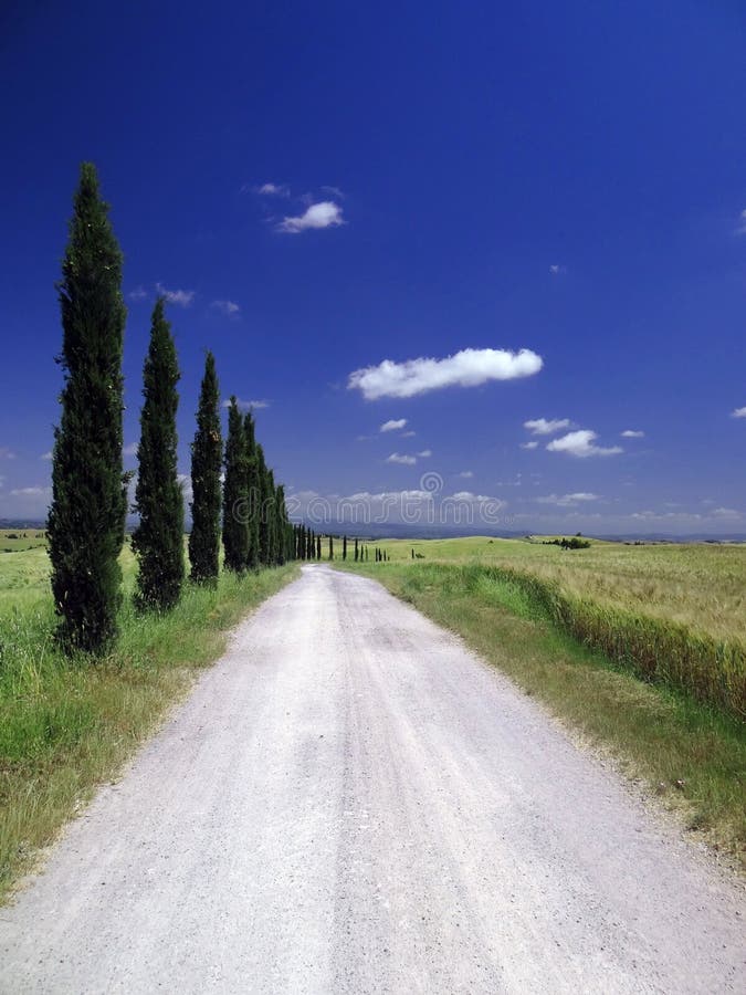Tuscan road 08 stock photo. Image of farmhouse, siena - 30178648