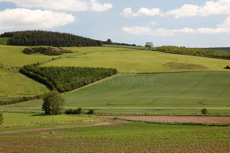 Classic Rural England stock image. Image of ranch, scene - 36296575