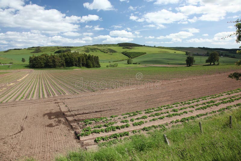 Rural england stock photo. Image of landscape, natural - 4208608