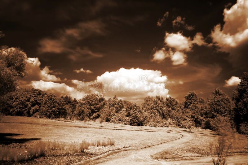 Rural Path in Texas stock photo. Image of post, outdoor - 99647954