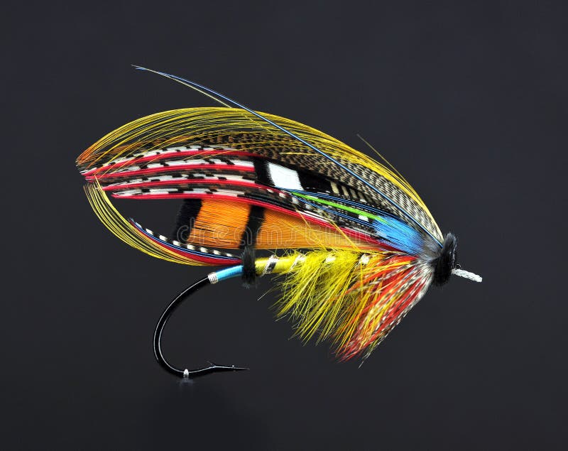 Classic Salmon Fly stock photo. Image of classic, salmon - 297663390
