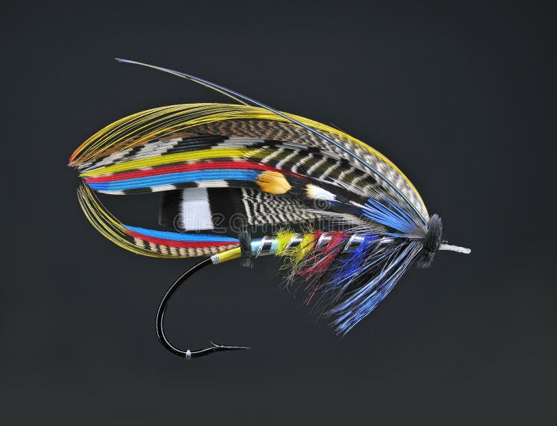 Classic Salmon Fly stock photo. Image of arthropod, salmon - 297663410