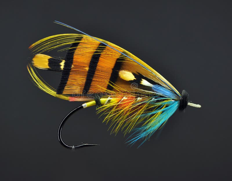 Classic Salmon Fly stock image. Image of wing, scott - 297663237