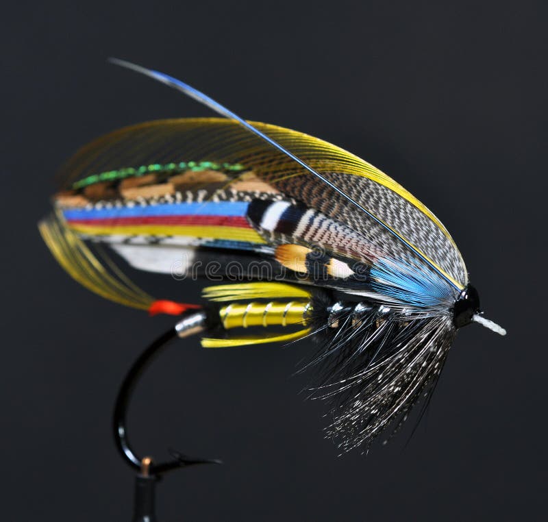 Classic Salmon Fly stock image. Image of arthropod, invertebrate ...