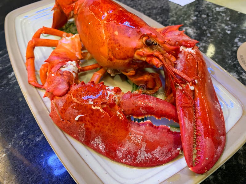 Whole red lobster stock image. Image of cooked, gourmet - 11334259