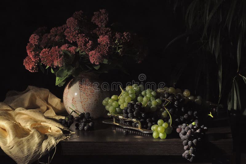 The classic Still Life stock photo. Image of green, garden - 63910330