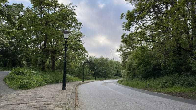 Classic Street Lanterns Along an Empty Road Stock Photo - Image of bend ...