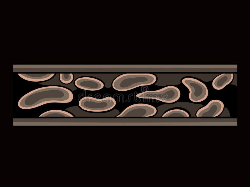 Classic Style Engraving Vector Ornament Design for Elements, Full Color ...