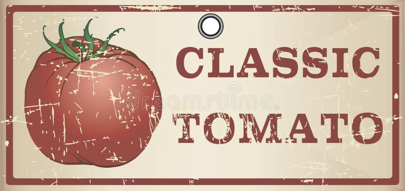 Classic tomato stock vector. Illustration of design, vegetable - 51621575