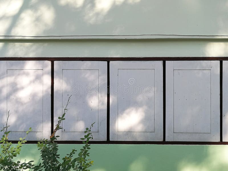 Tree Shade on Teal Green Wall Stock Image - Image of tree, space: 232659961