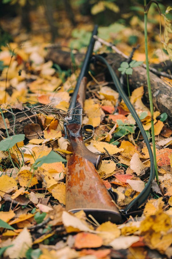 Classic Vertical Double-barreled Hunting Rifle Isolate on a White Back ...