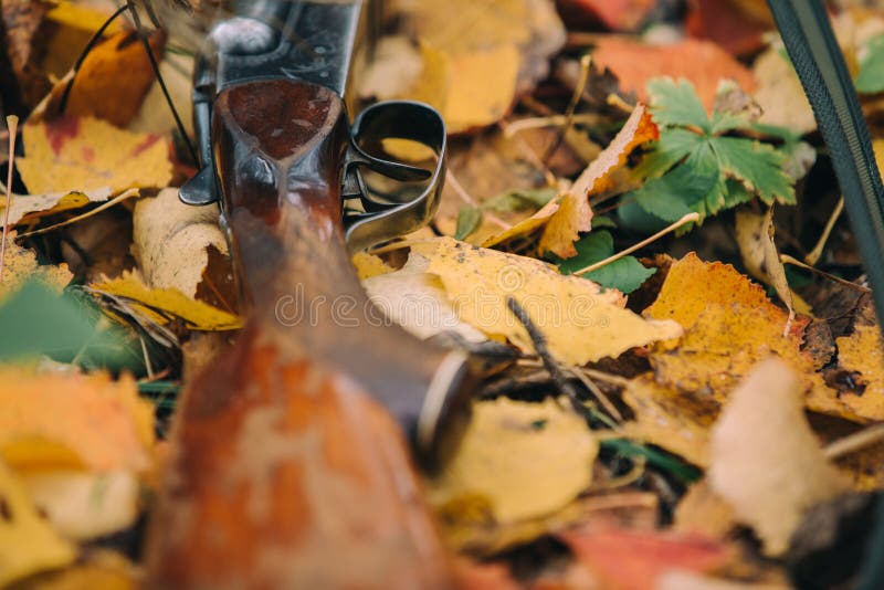 Classic Vertical Two Barrels Hunting Rifle Stock Image - Image of ...