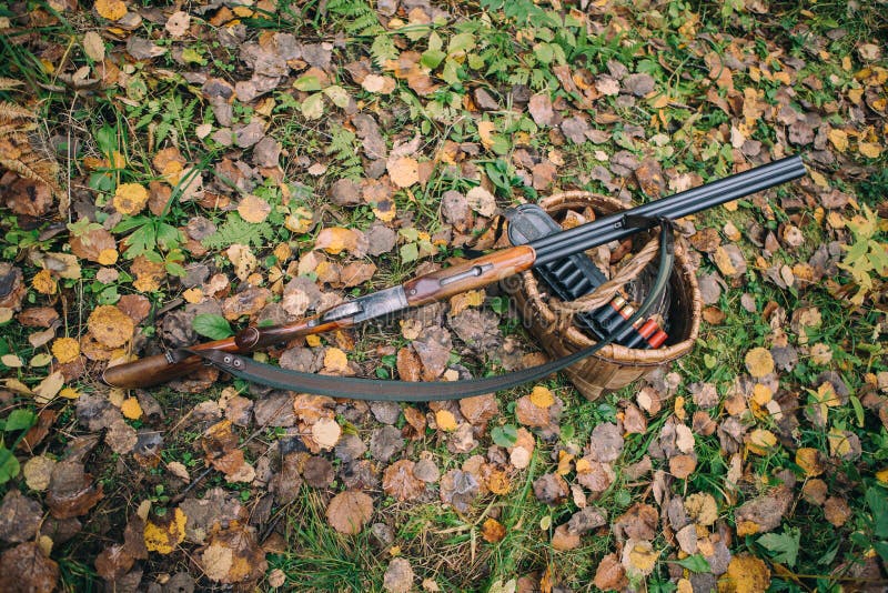 Classic Vertical Two Barrels Hunting Rifle Stock Image - Image of fore ...