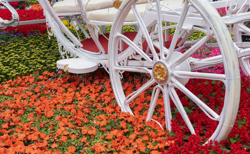 Classic Wagon Wheel Decoration in Flower Garden Stock Photo - Image of ...