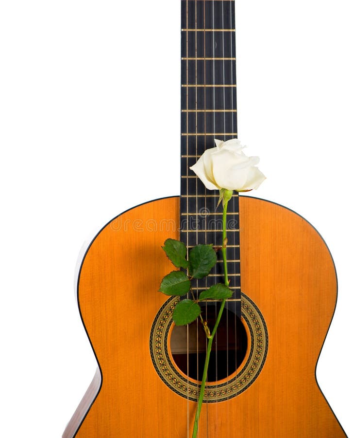 Baroque Guitar Rose