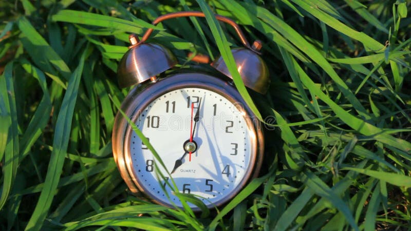 Classical Alarm Clock Lying and Ringing in Green Stock Video - Video of ...