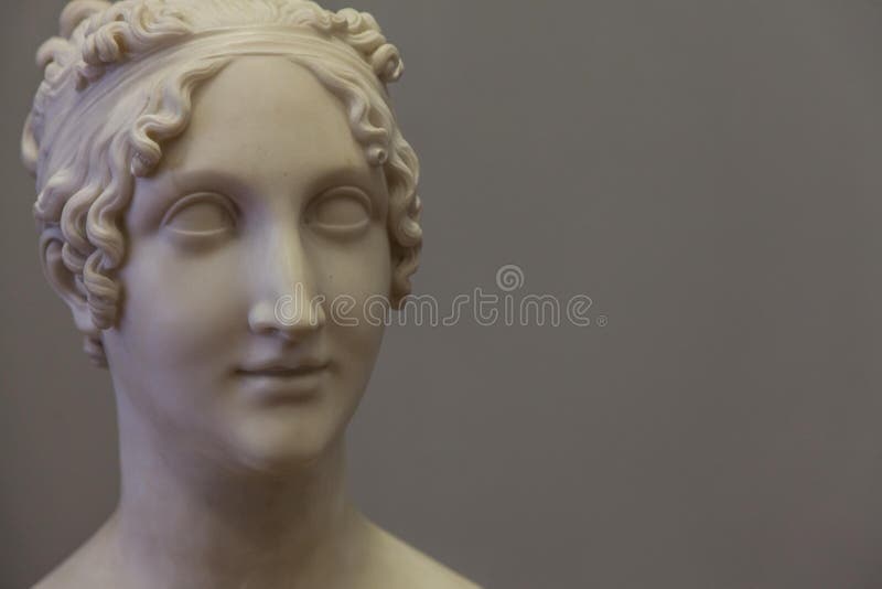 Classical beauty stock image. Image of hairstyle, classic - 45488869