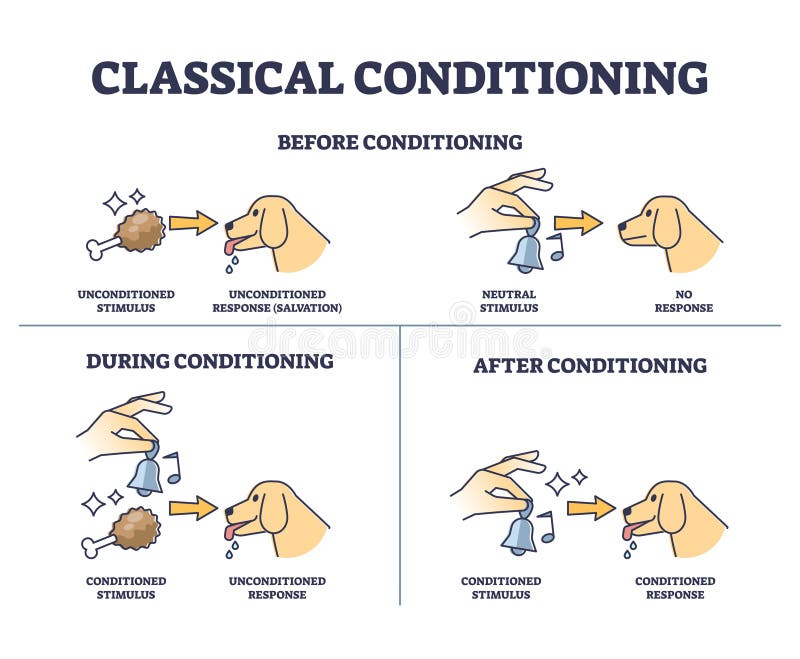 Classical Conditioning or Pavlovian or Respondent Conditioning for ... Classical Conditioning or Pavlovian or Respondent Conditioning for ...