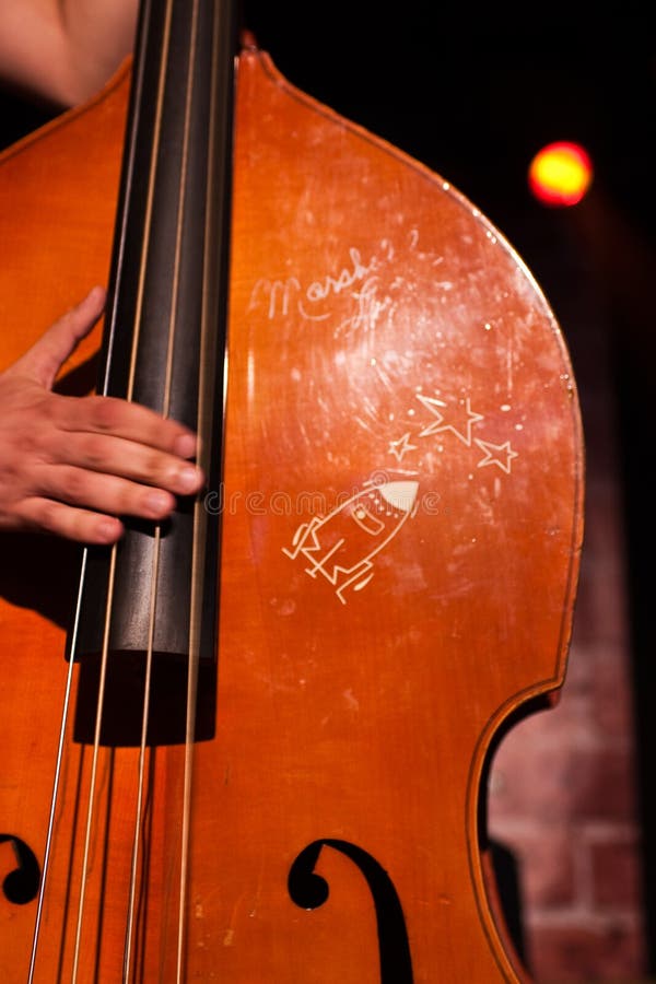 Classical Contrabass Playing Picture. Image: 10113115