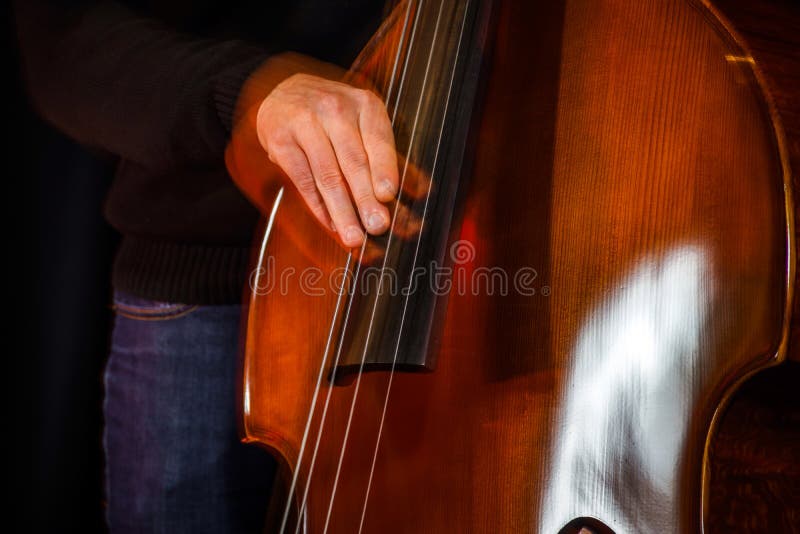 Classical Double-bass Instrument Close-up View Stock Image - Image of ...