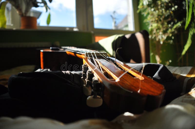 Classical Guitar. Issuing a Stringed Instrument Sounds Stock Photo ...