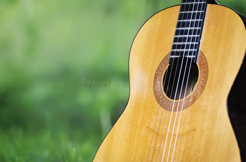 Classical Guitar Leaning Against Tree Stock Photos - Free & Royalty ...