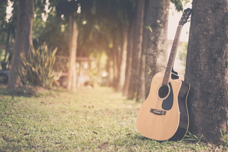 Classical Guitar Propped Against a Tree Trunk Stock Image - Image of ...